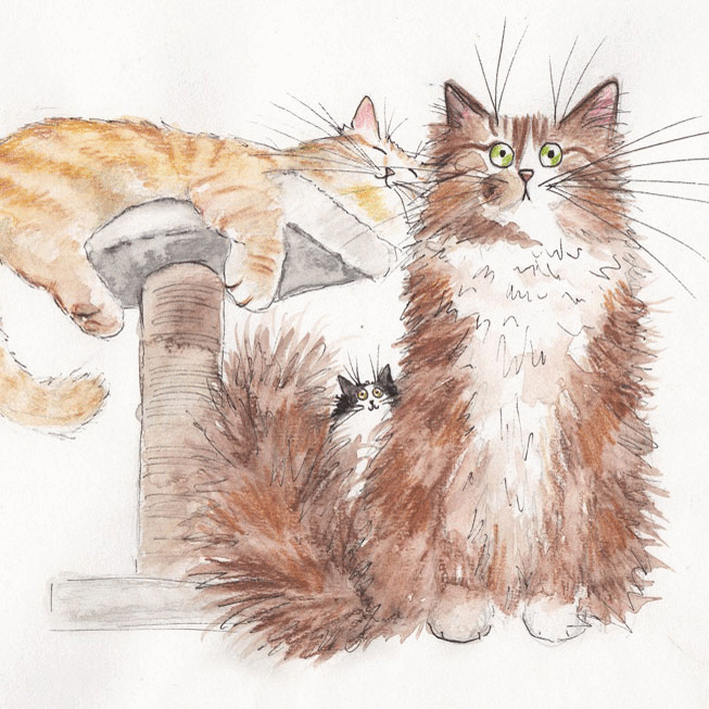 Drawings – Kim Haskins Art